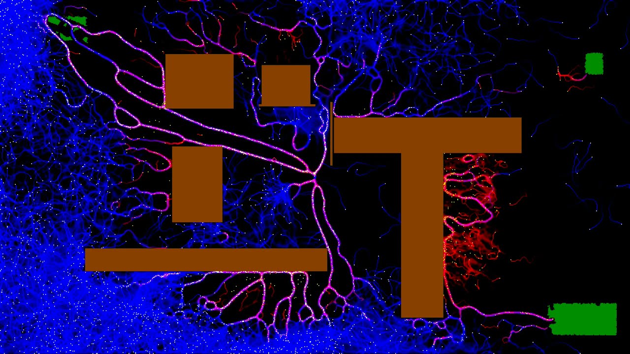 2D Ant Colony Simulation, Obstacles (2K) - YouTube