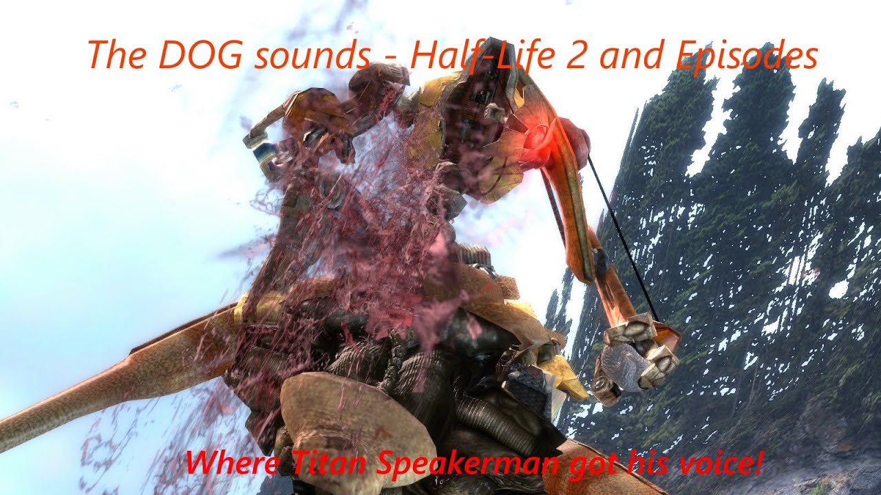 Half Life 2 and Episodes sounds - Dog - YouTube