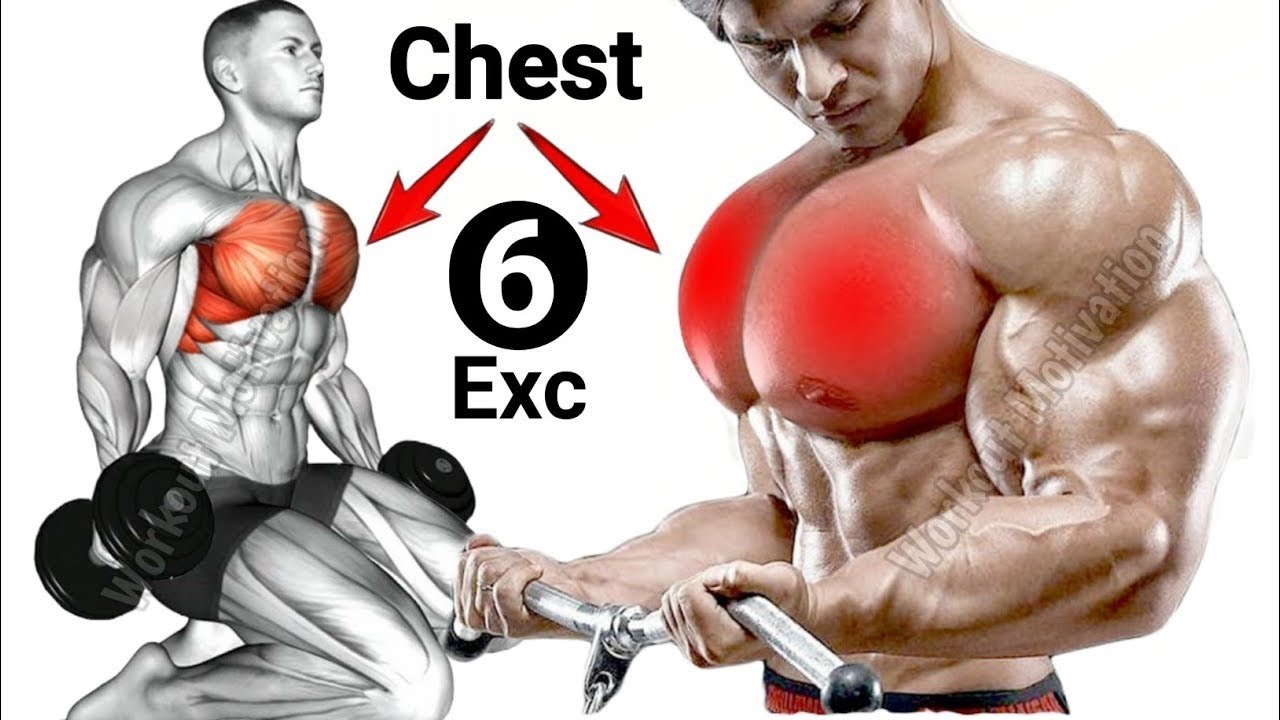 6 Effective Insane Chest Workout For Bigger Pecs | Chest Workout At Gym ...