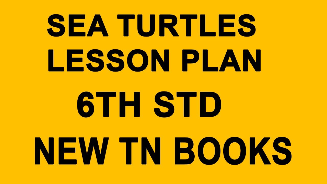 SEA TURTLES - LESSON PLAN - 6TH STD - NEW TN BOOKS - YouTube