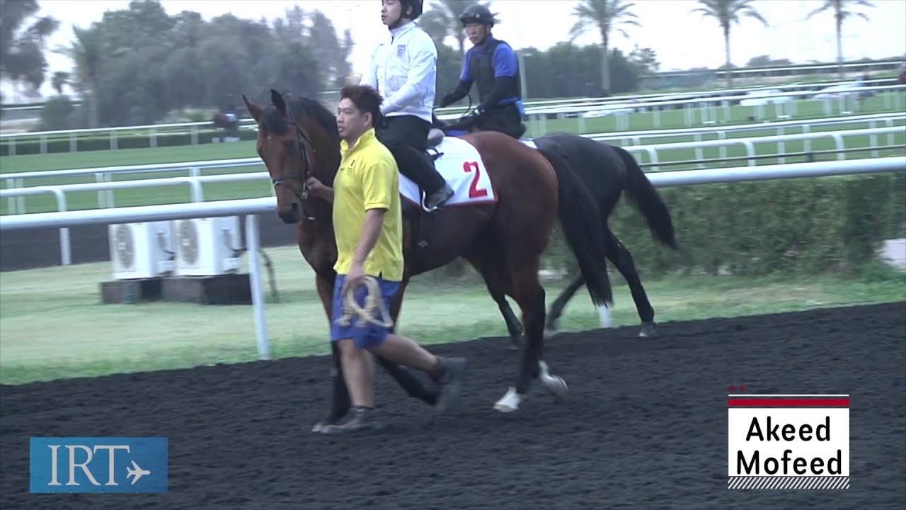 Dubai World Cup Profile - Akeed Mofeed - 3/27/14 - YouTube