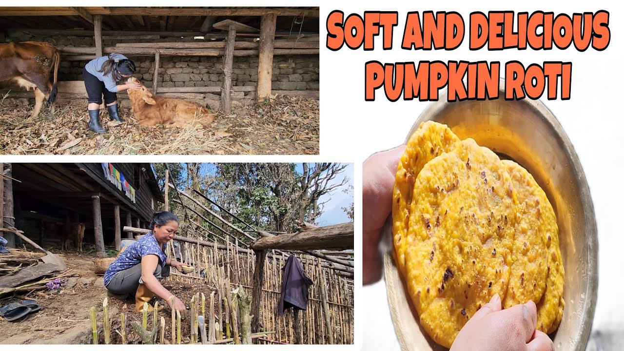 COOKING AND EATING PUMPKIN ROTI🤤|SOWING PUMPKIN, KARELA & CUCUMBER ...