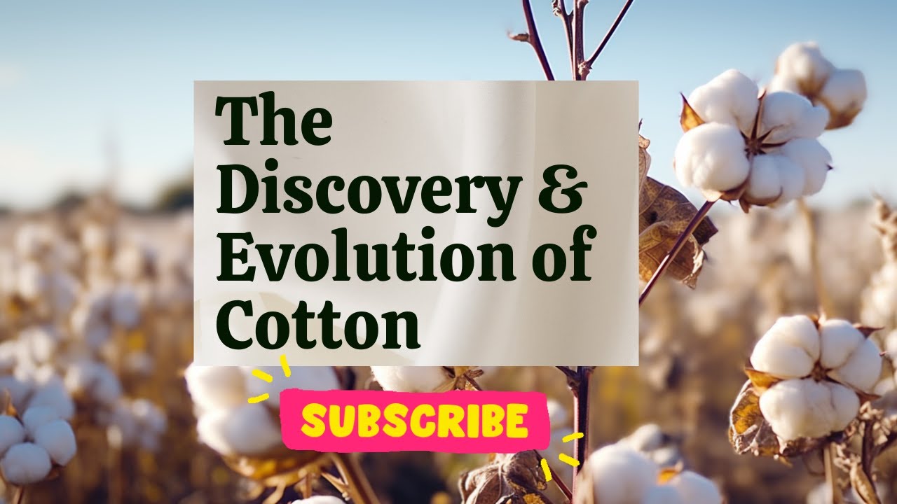 From Ancient Origins to Modern Marvel: The Discovery & Evolution of ...