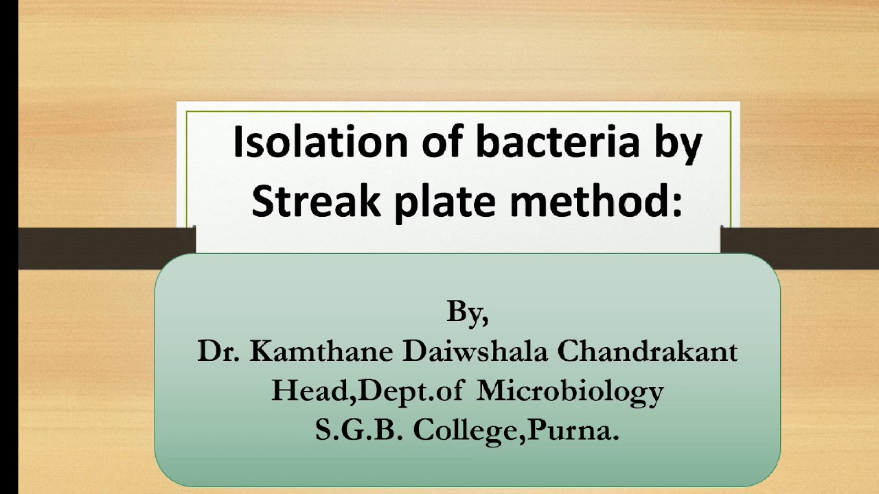 Isolation of bacteria by Streak plate method by Dr. Kamthane D.C. - YouTube