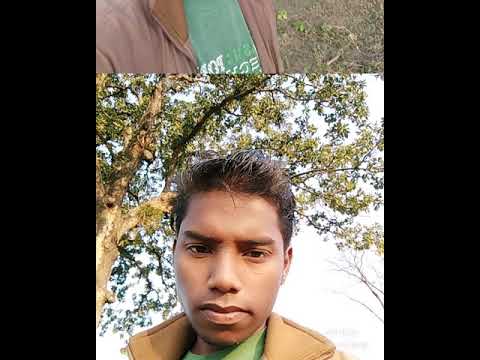 Zenjoy video