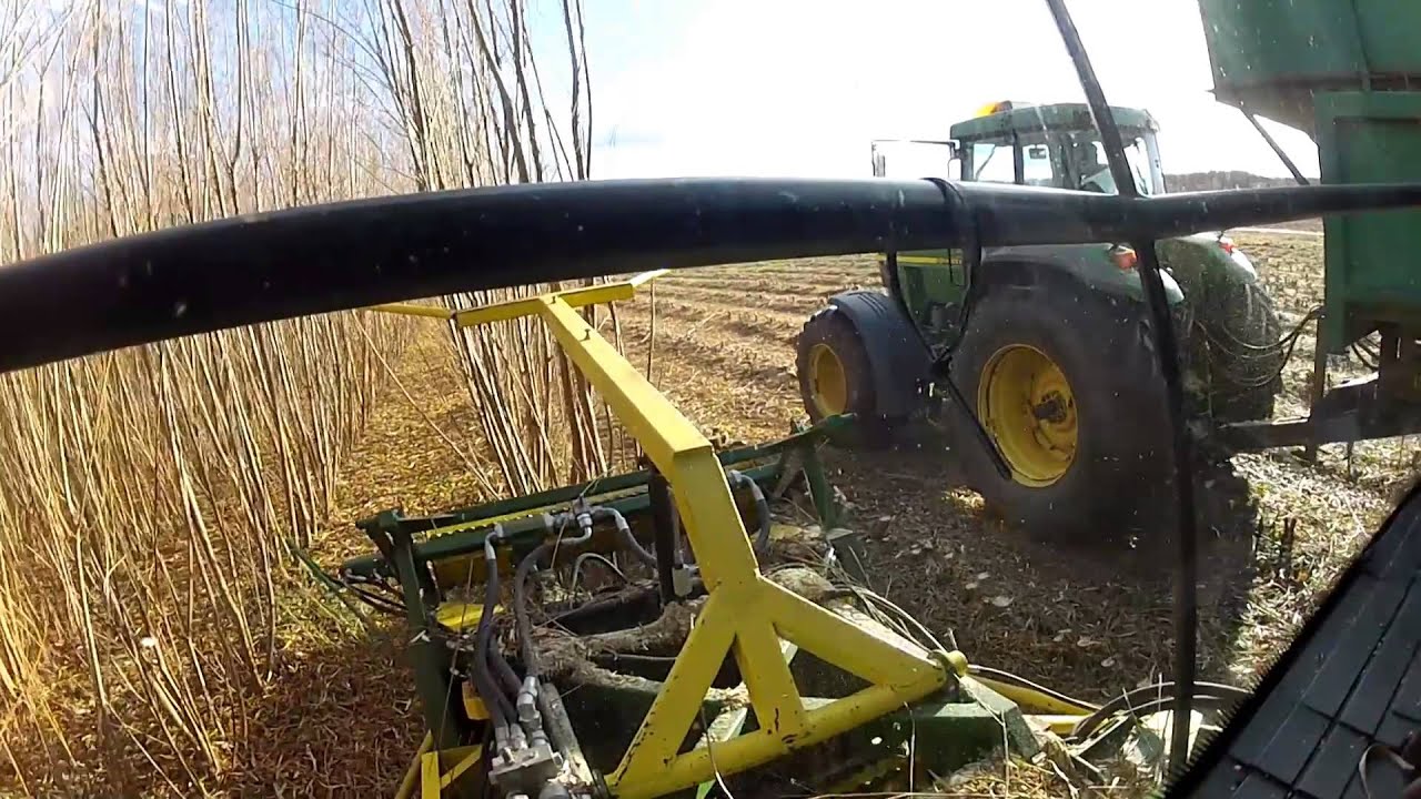 ROKWOOD Information Video on Short Rotation Plantation and Crops for ...