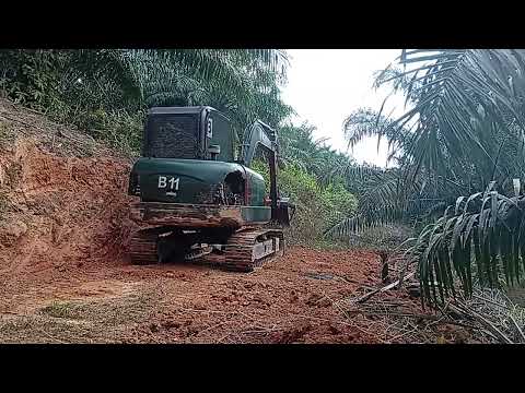 Ayo..!Ngintip teman ku yang bikin jalan #excavator