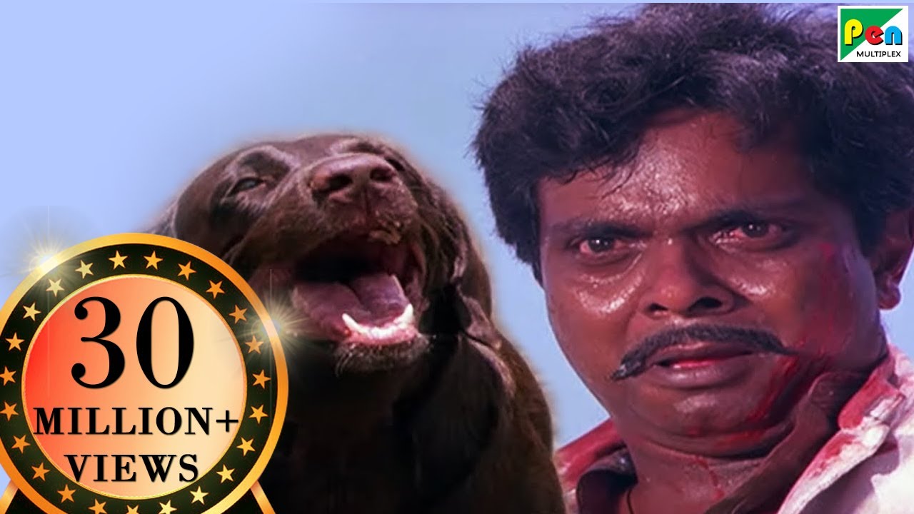 Moti (Dog) Revenge - Kills Sadashiv | Teri Meherbaniyan Climax Scene 01 ...