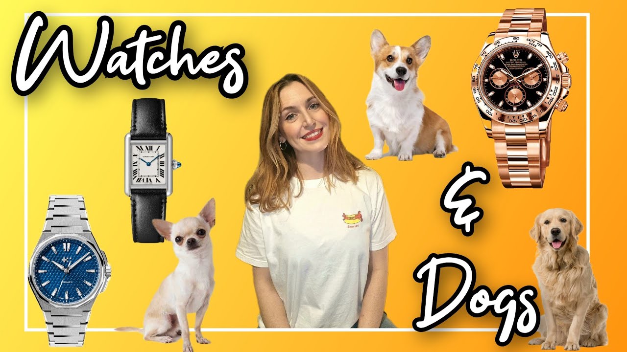 WHAT DOG BREED WOULD ROLEX BE? 🤔 Matching watch brands & dogs because ...