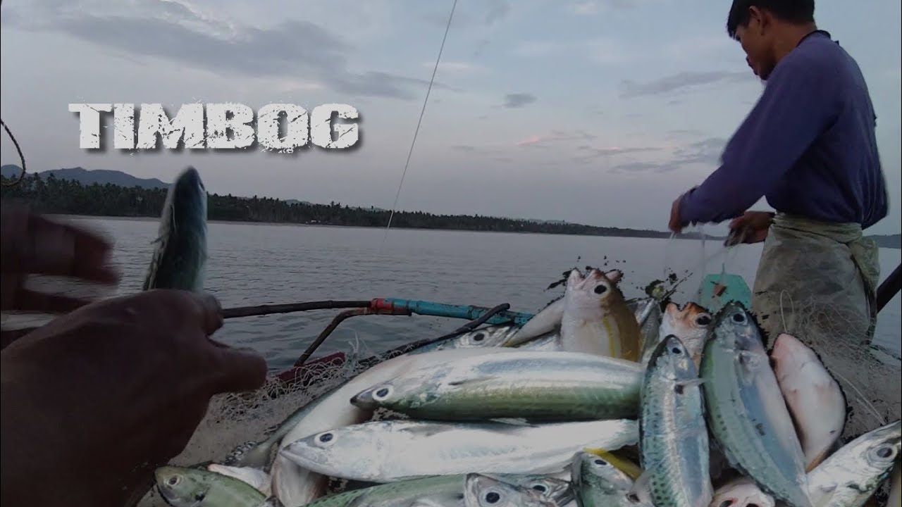 Pag timbog sa palibot ng lambat lumahan ang bumangga traditional ...