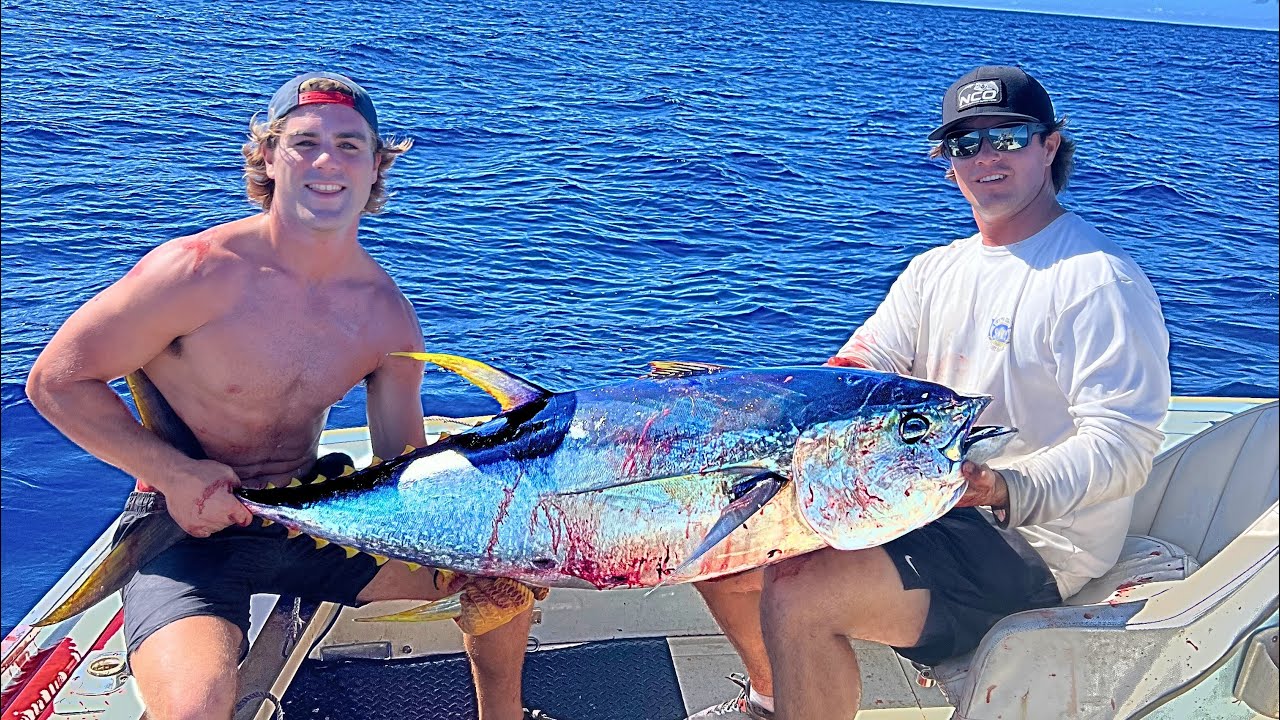 Ahi / SHIBI Fishing (Honolulu, Hawaii) - YouTube