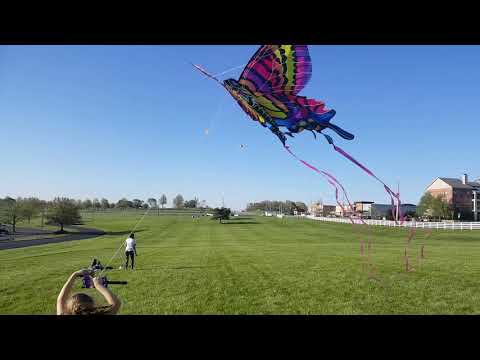Gia and her papi flying a Kate - YouTube