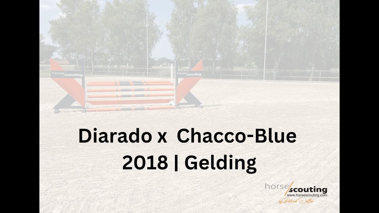 *2018 | SHOWJUMPER | Diarado x Chacco-Blue | Gelding - YouTube