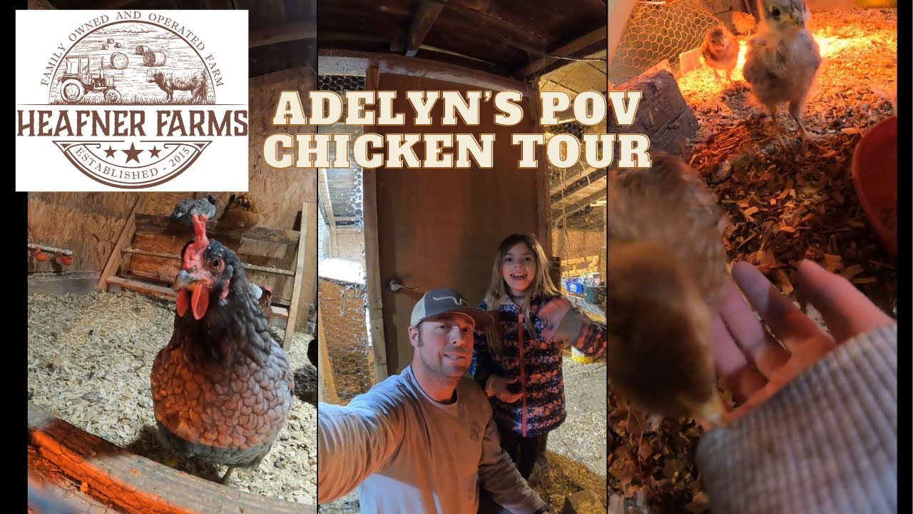 Daughter Steals GOPRO to do a POV Chicken Tour!! - YouTube