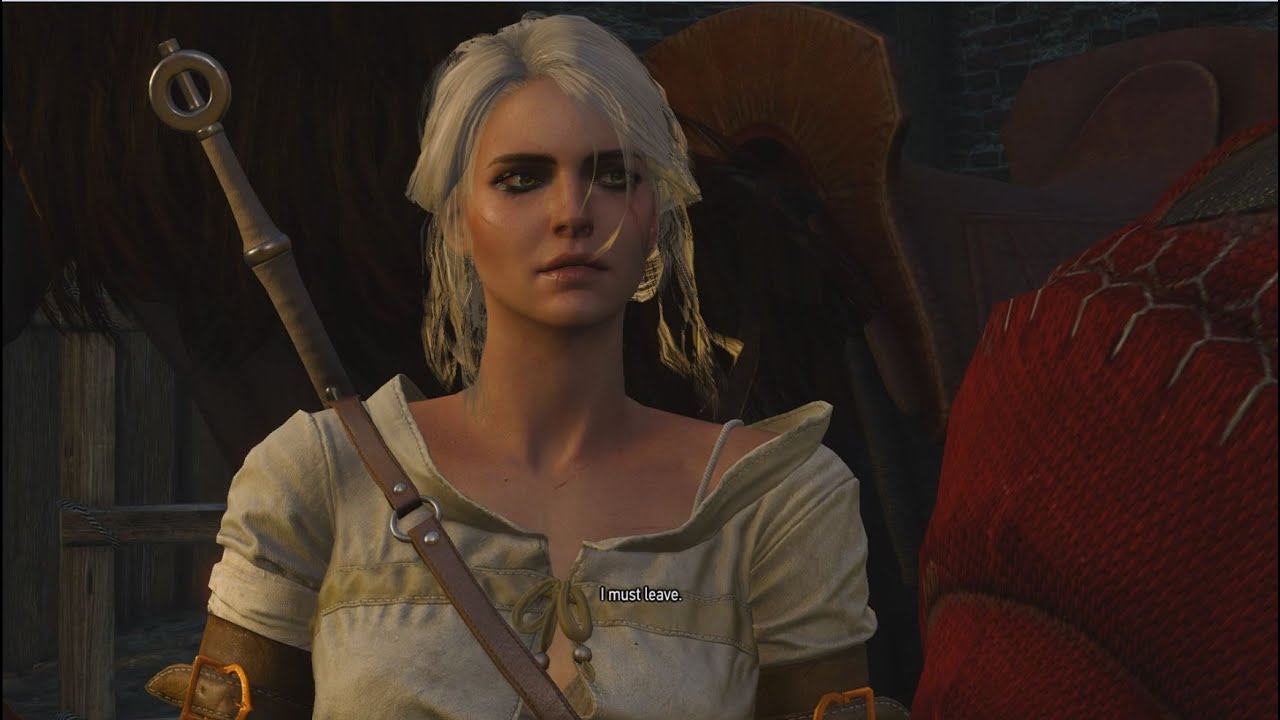 Witcher 3 ★ Last Part Of The Quest Family Matters ★ After I Found Anna ...