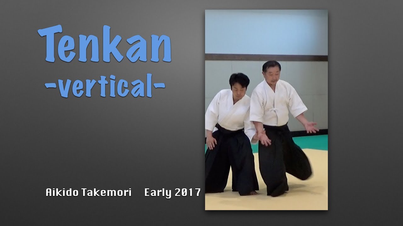 AIKIDO Takemori Early 2017＃03Tenkan＞Vertical Tenkan転換＞たての転換 - YouTube