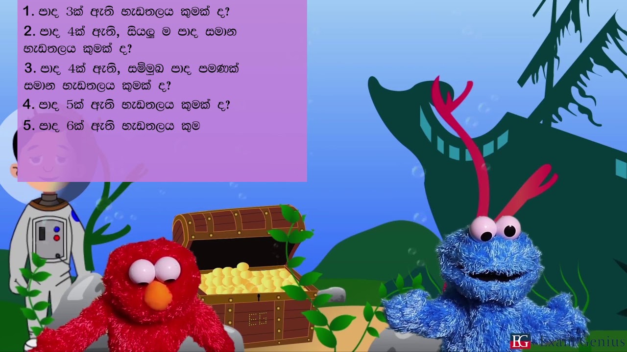 හැඩතලවල පාද ගැන විස්තර/hadathala wala paada gana wisthara - YouTube