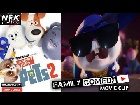 The Secret Life of Pets 2 full movie download 720p| NFKMOVIECLIPS