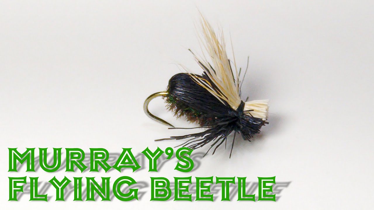 Flying Beetle - Fly Tying Tutorial - YouTube