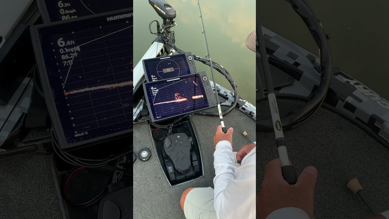 NEW Mega Live from Humminbird - YouTube