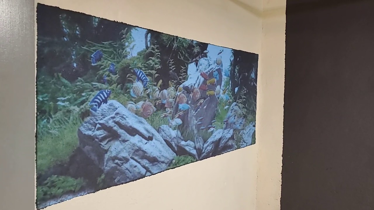 80" screen ratio size 2.35:1 painted supreme 8 TRUE ALR screen paint on ...