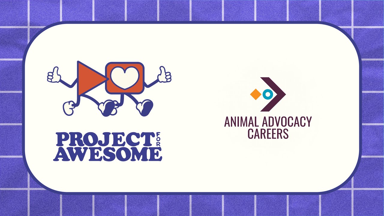 Project for Awesome 2025- Animal Advocacy Careers - YouTube