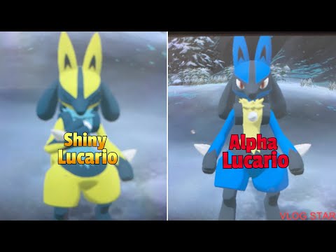 Shiny Lucario meets alpha Lucario Pokémon legends: Arceus - YouTube