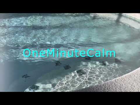 One Minute Calm | Calming Pools 18 | Mindful Meditation | Take a spa ...