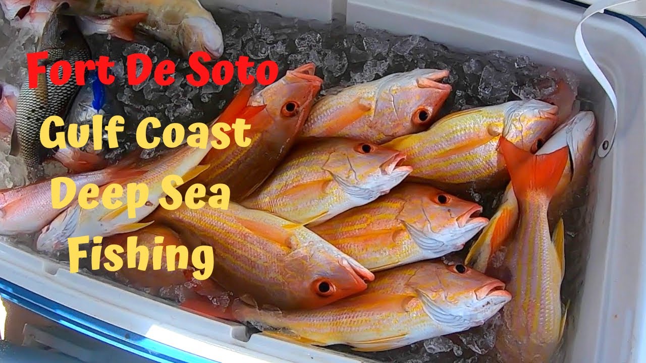 Fort De Soto Gulf Coast Deep Sea Fishing - YouTube