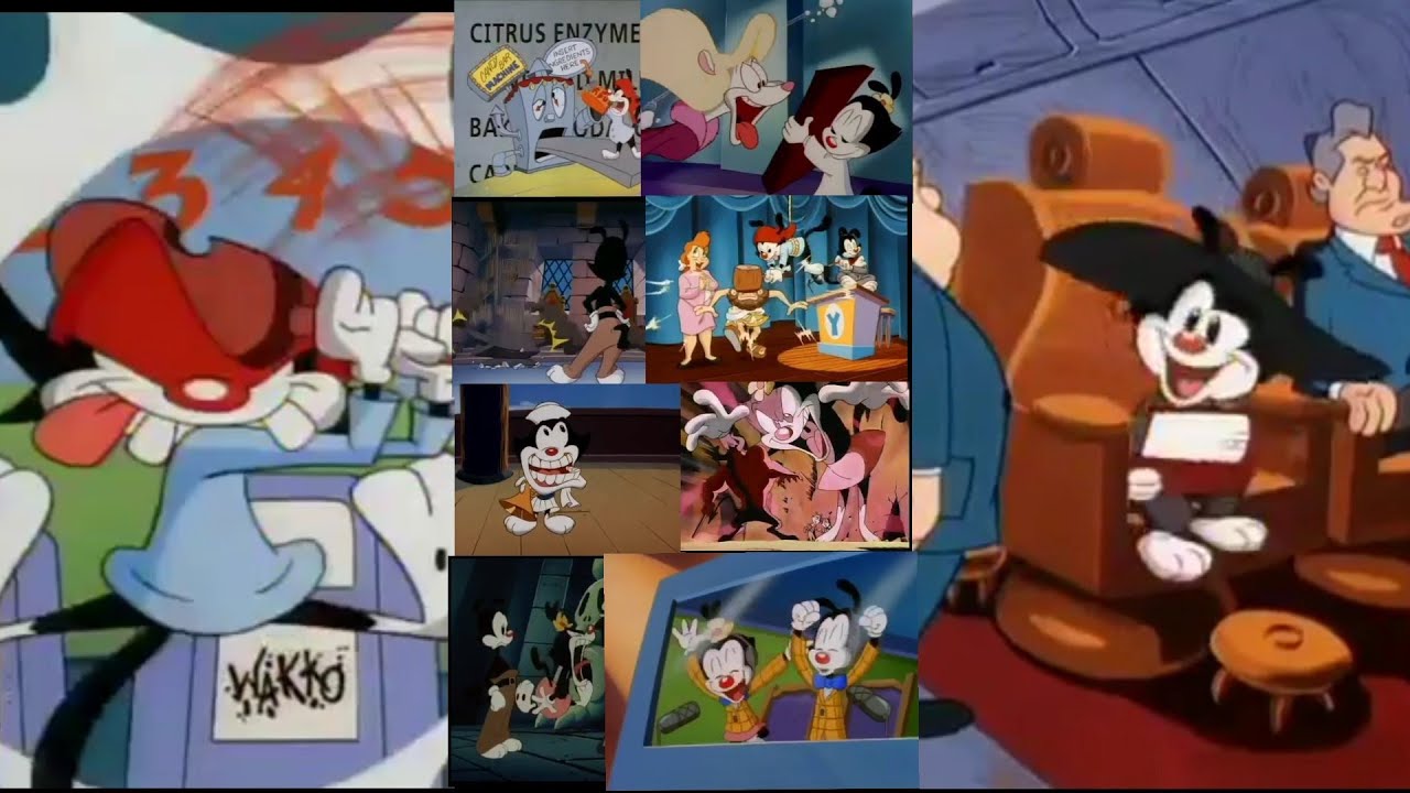 1 Second from the Next 21 Animaniacs Episodes (only the warner segments ...