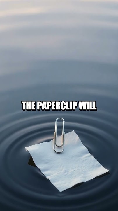 Floating Paper Clip Experiment - YouTube