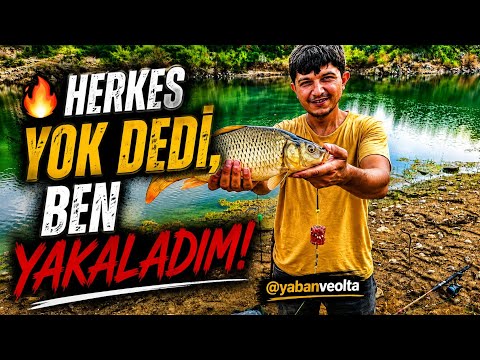 🔥 40 Derecede Sazan Balığı Çılgınlığı! Ziller Susmadı/Balıklar sıcağa rağmen av peşinde!!!