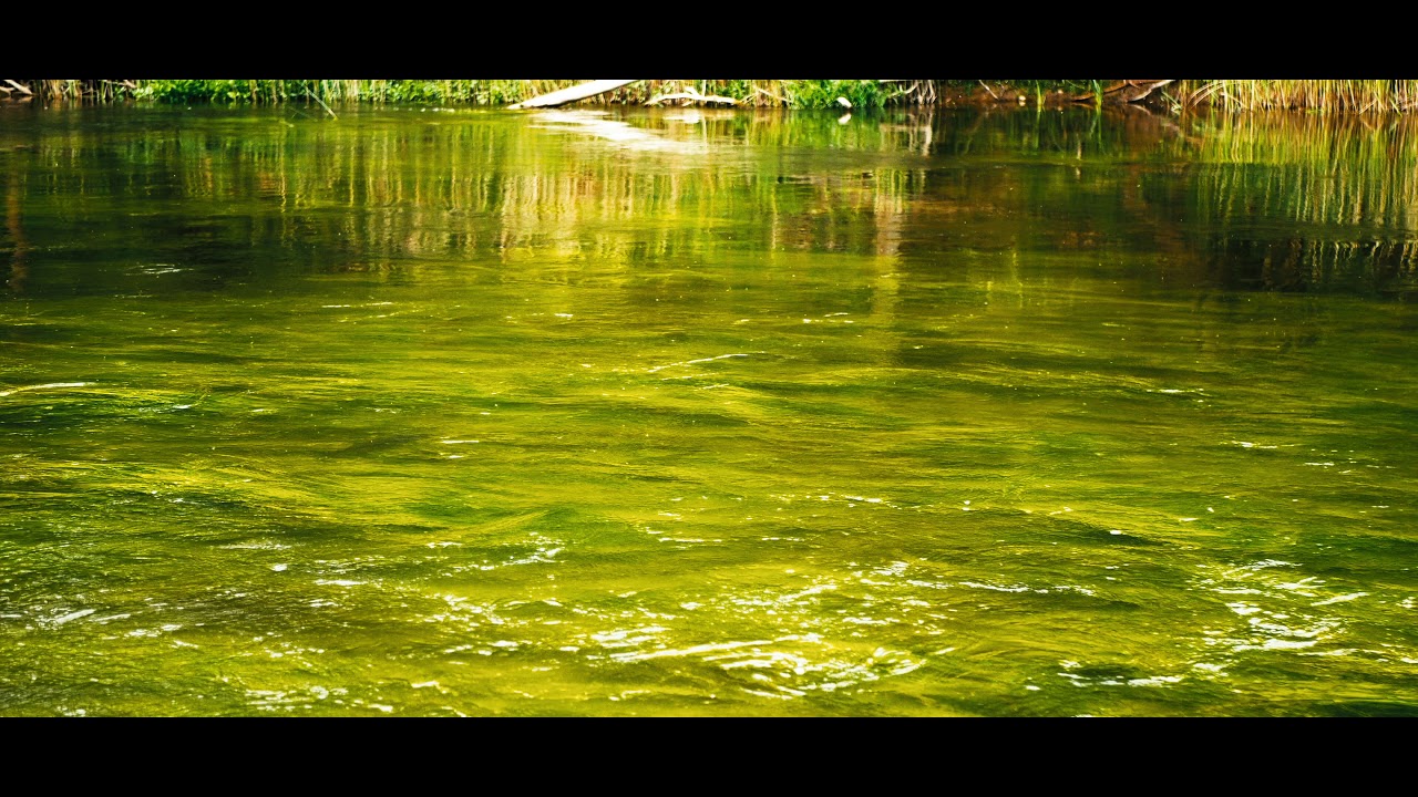 Vimba Vimba 4K - YouTube