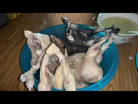 hnub no muab qaib los hu me nyuam plig 6/18/2023 - YouTube