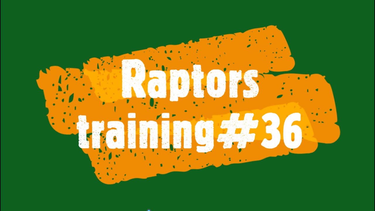 Raptors training#36 - YouTube
