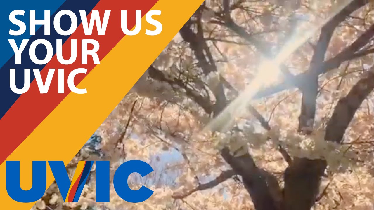 Show us your UVic - YouTube