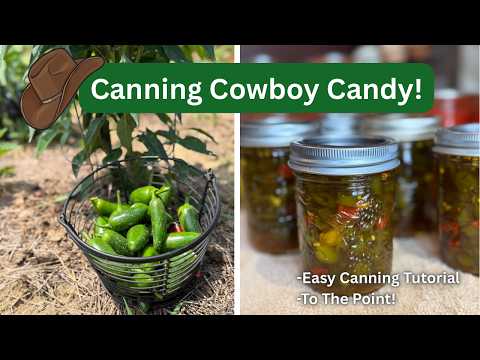 How to Make & Can Cowboy Candy | Step By Step Canning Tutorial