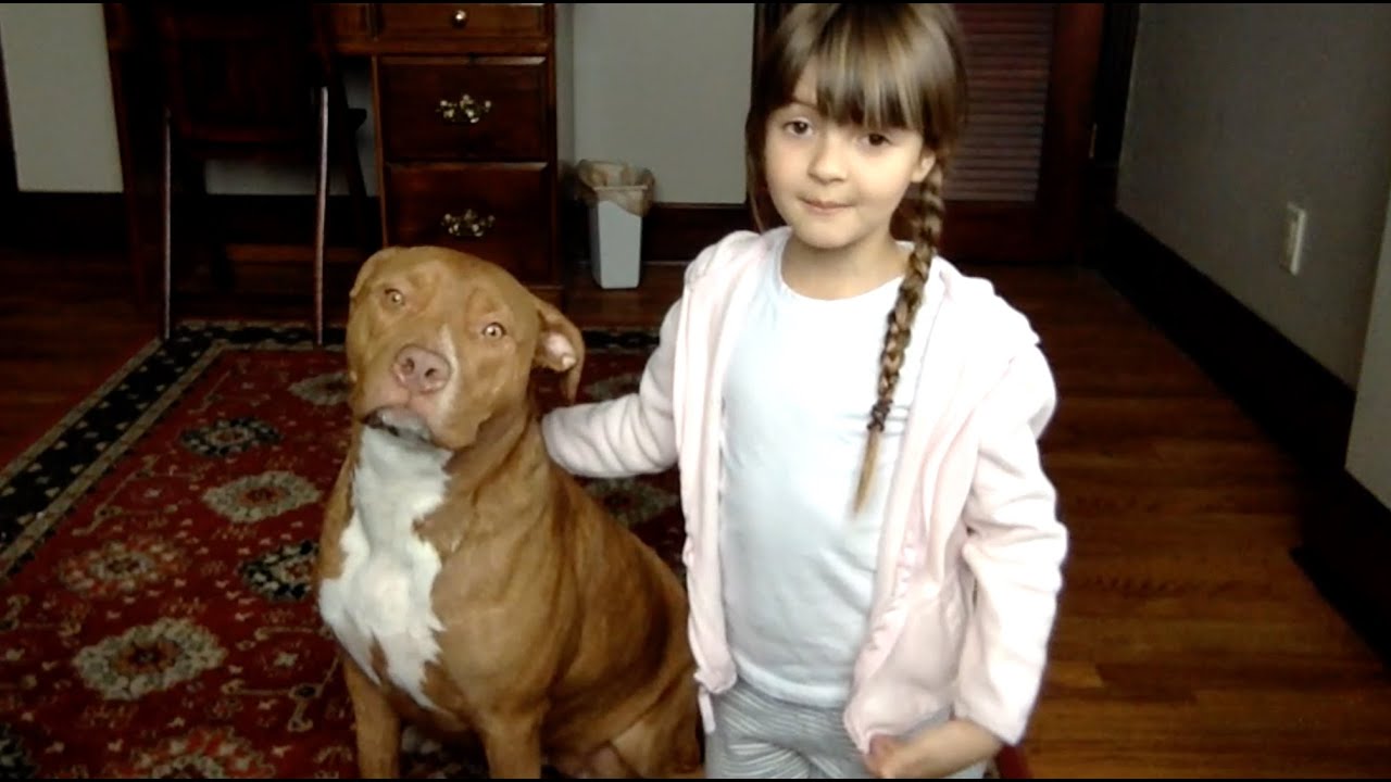 The Hunger Games Mockingjay part 2 – movie review by 7-year-old girl ...