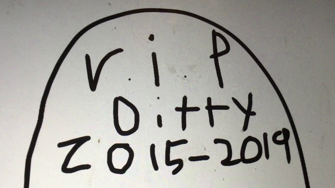 R.I.P Ditty - YouTube