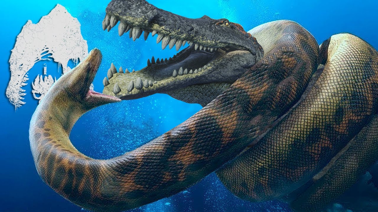 Deinosuchus Vs Titanoboa