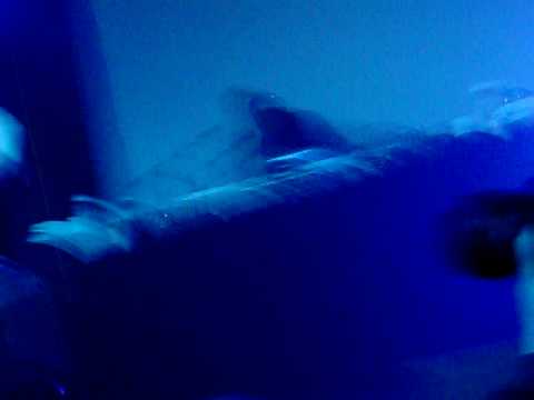 Dizzee Rascal - Jus' A Rascal - YouTube
