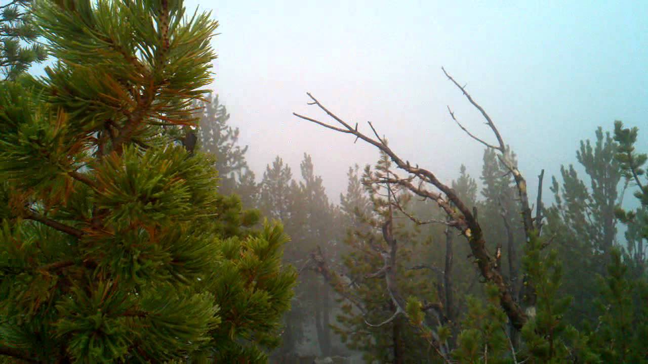 Van Patten Butte Summit - YouTube