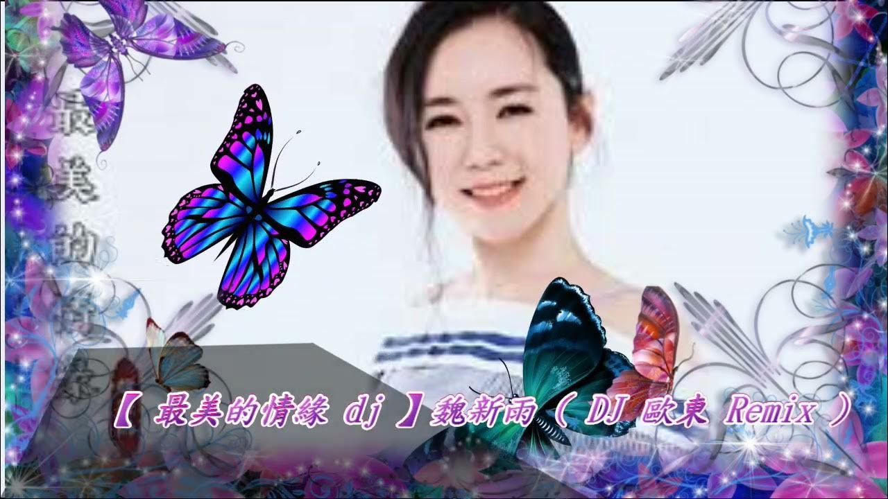 最美的情緣 Dj 】魏新雨 Dj 歐東 Remix Youtube