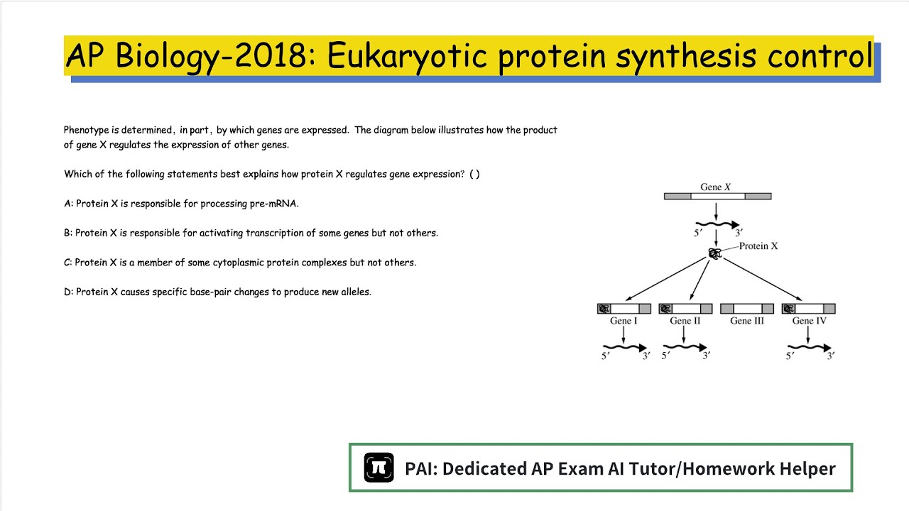2018 AP Biology: Controlling Protein Synthesis in Eukaryotes: Molecular ...
