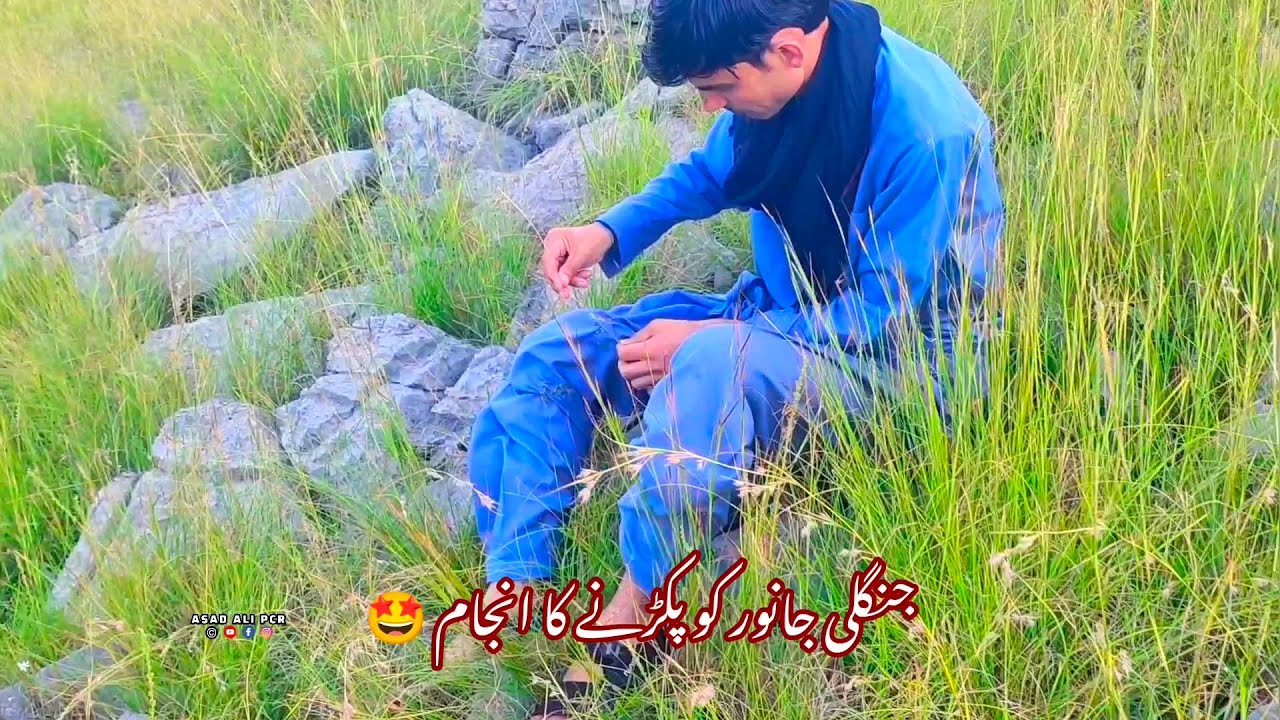 The end of catching a wild animal 🤩 Vlog | Asad Ali Pcr - YouTube