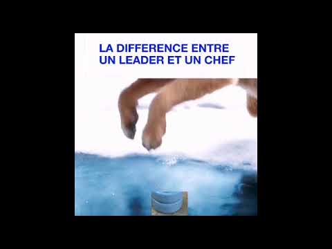 La difference entre un leader et un chef.Comment être un bon leader ...