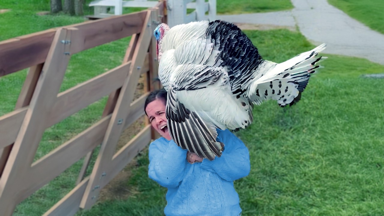 Most Humiliating Thanksgiving Fails 🦃 Caught on Camera - YouTube