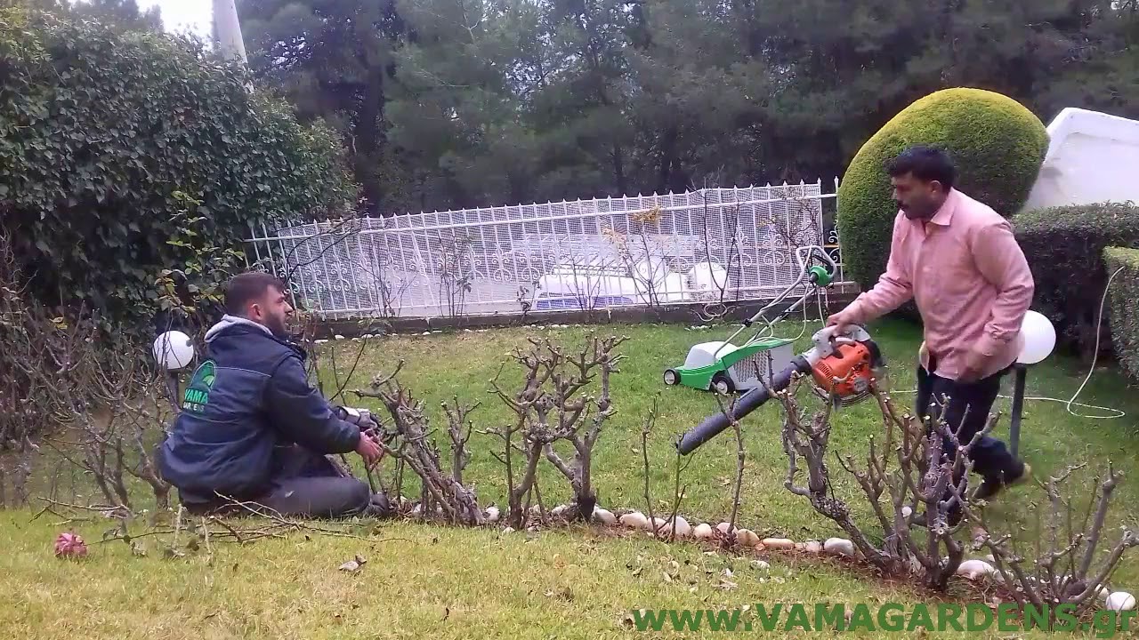 Χειμωνιάτικο κλάδεμα τριανταφυλλιάς - YouTube