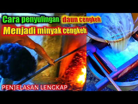 Penyulingan minyak cengkeh -kupas tuntas proses daun cengkeh menjadi minyak cengkeh