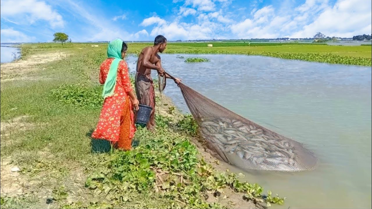 Asian river Fishing video | traditional Net river Fishing video ...